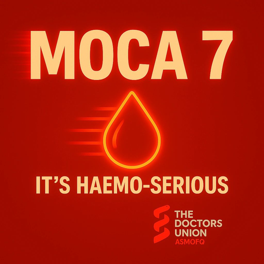 MOCA 7 Negotiation Meeting #7